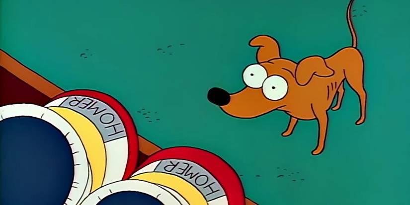 The Simpsons: 8 Best Santa's Little Helper Episodes