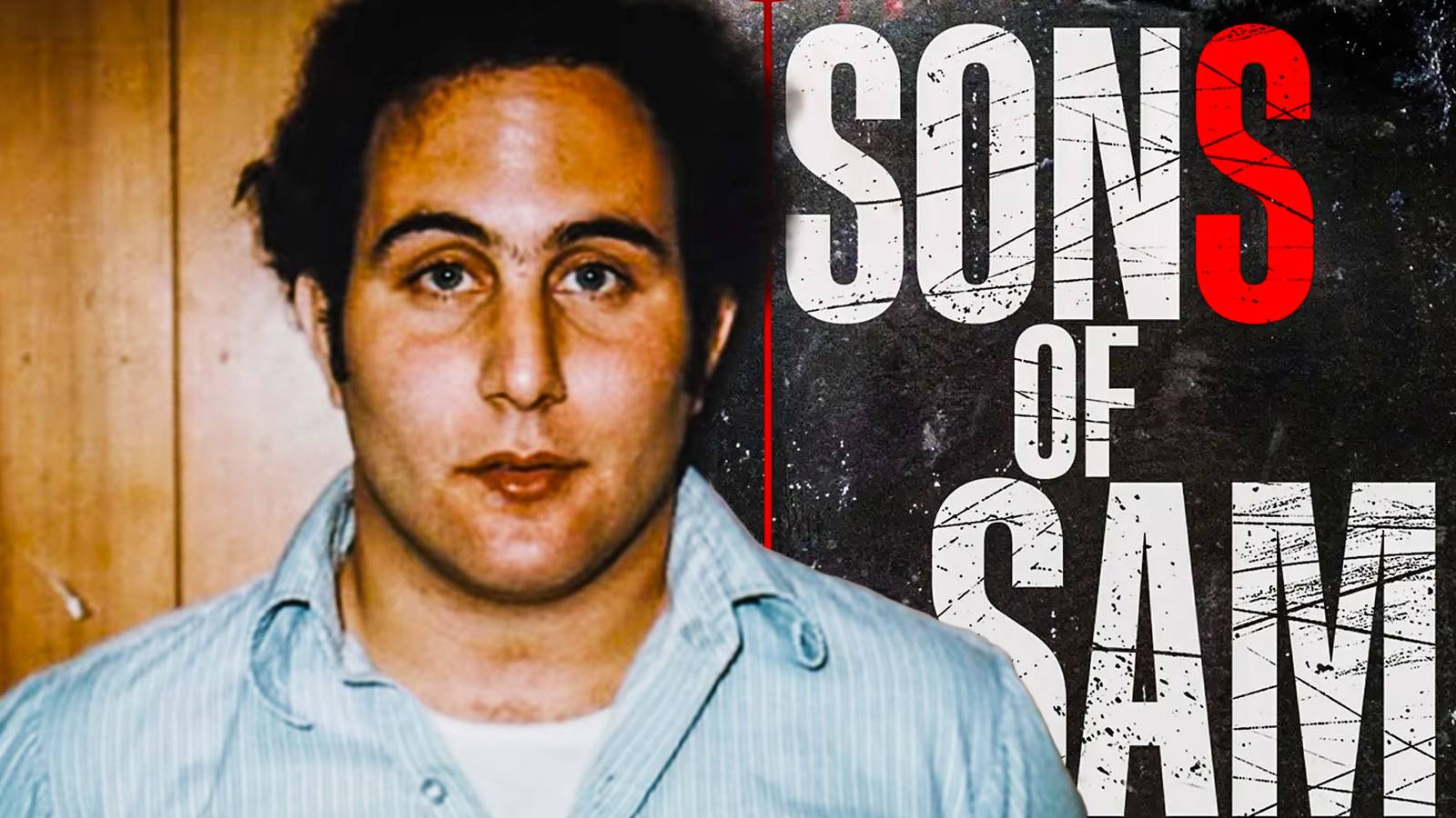 Sons of Sam: Arliss Perry Murder, Killer & David Berkowitz Connection
