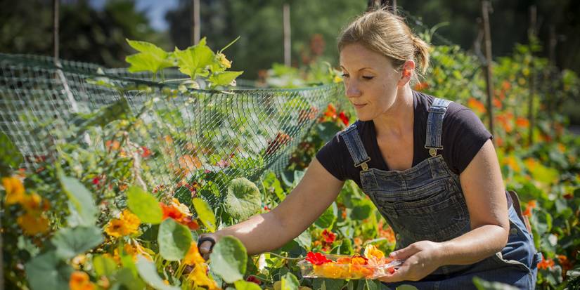 Where To Watch The Biggest Little Farm Online (Netflix, Hulu, Or Prime?)