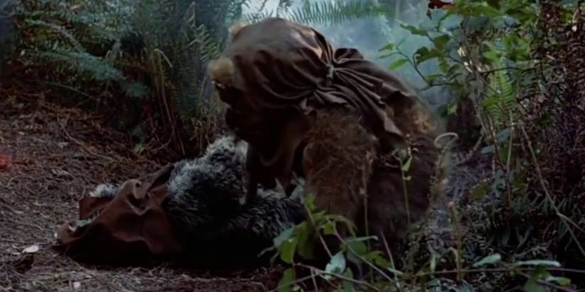 The 10 Most Heartbreaking Scenes In The Star Wars Movies, According To ...