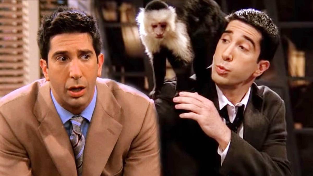 Friends Reunion Reveals Why David Schwimmer Hated Ross' Monkey Marcel