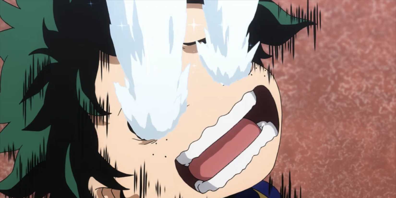 Sorry My Hero Academia Fans, But The Thing Everyone Hates Most About ...