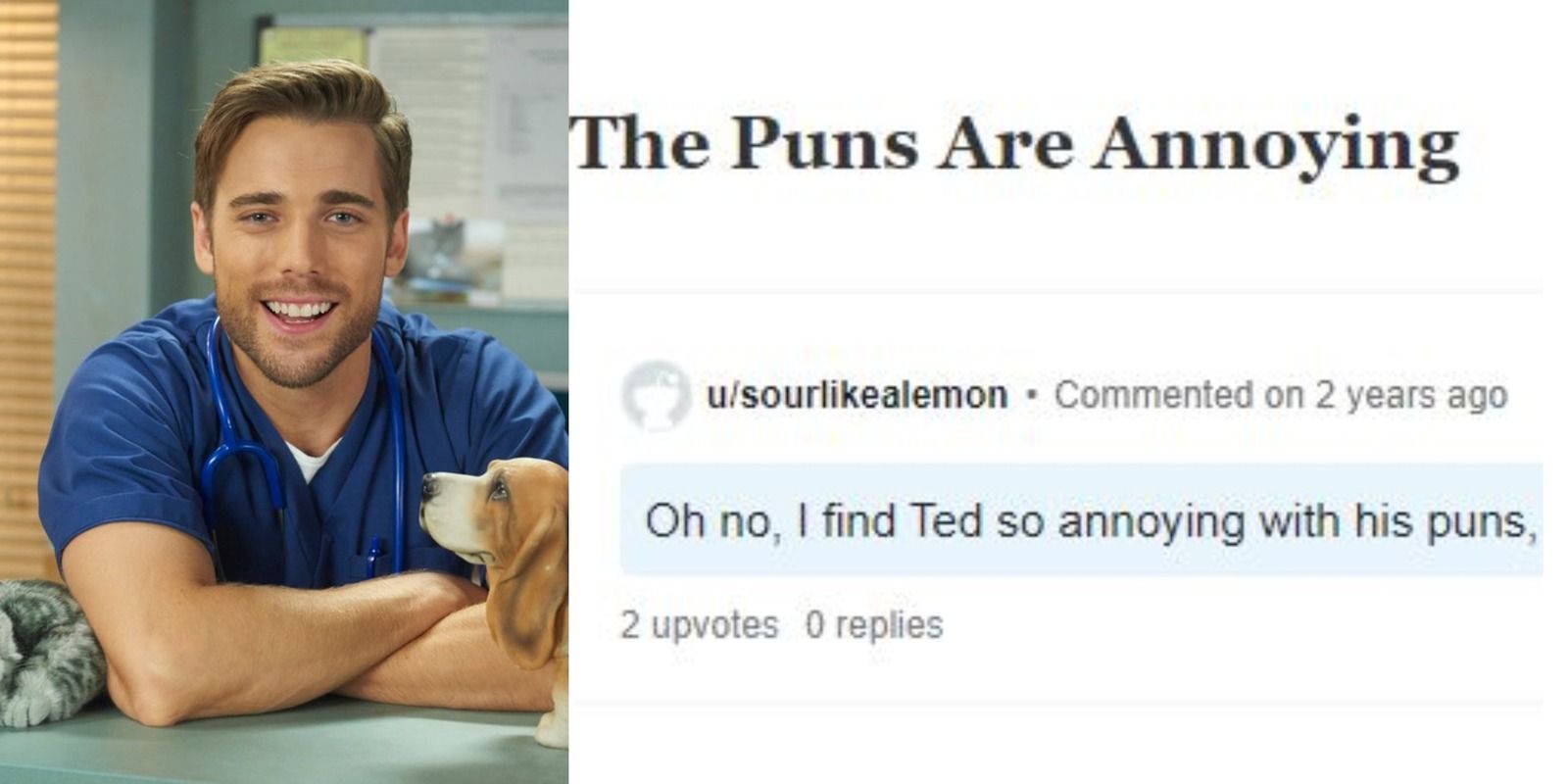 Schitt's Creek: 10 Unpopular Opinions About Ted (According To Reddit)