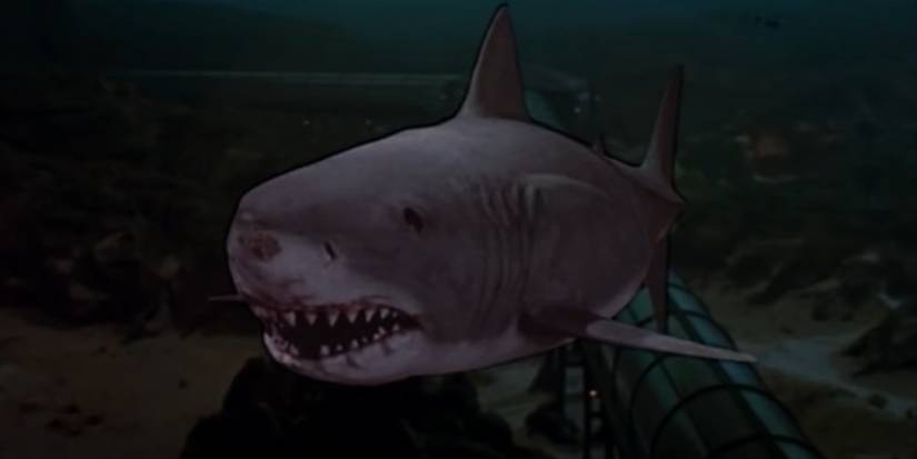 10 Biggest Unanswered Questions From The Jaws Franchise