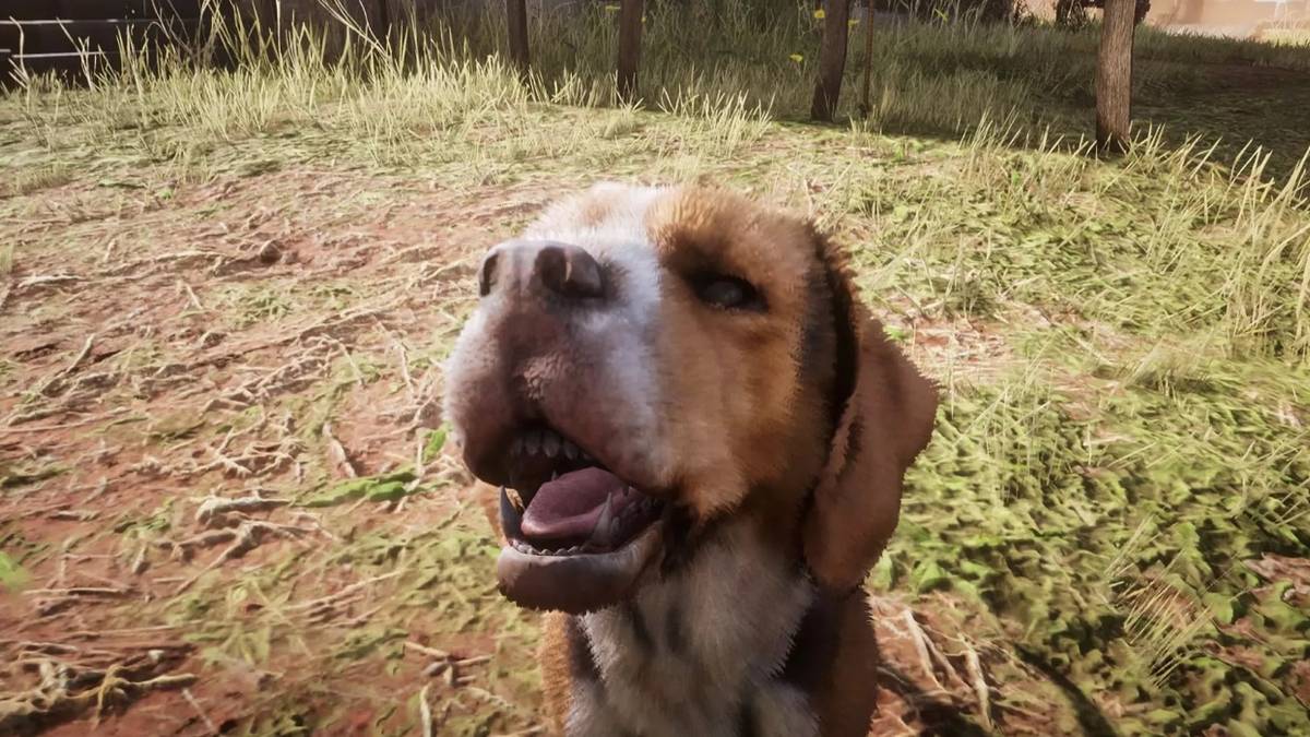 Red Dead Redemption 2 Dog Mod Gives Players A Loyal Best Friend