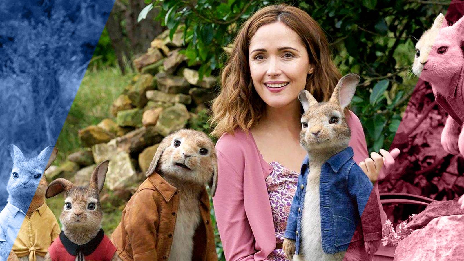 Peter Rabbit 3 News & Updates: Everything We Know