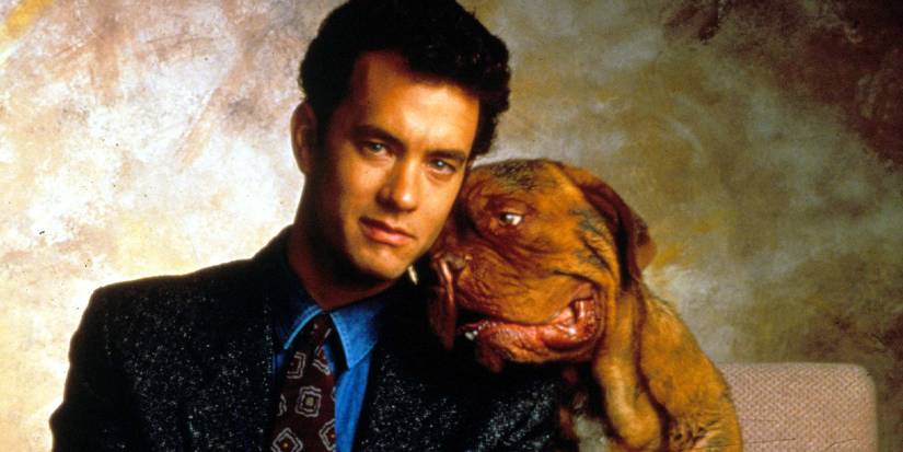 The 10 Best Movies About Animal & Human Friendships