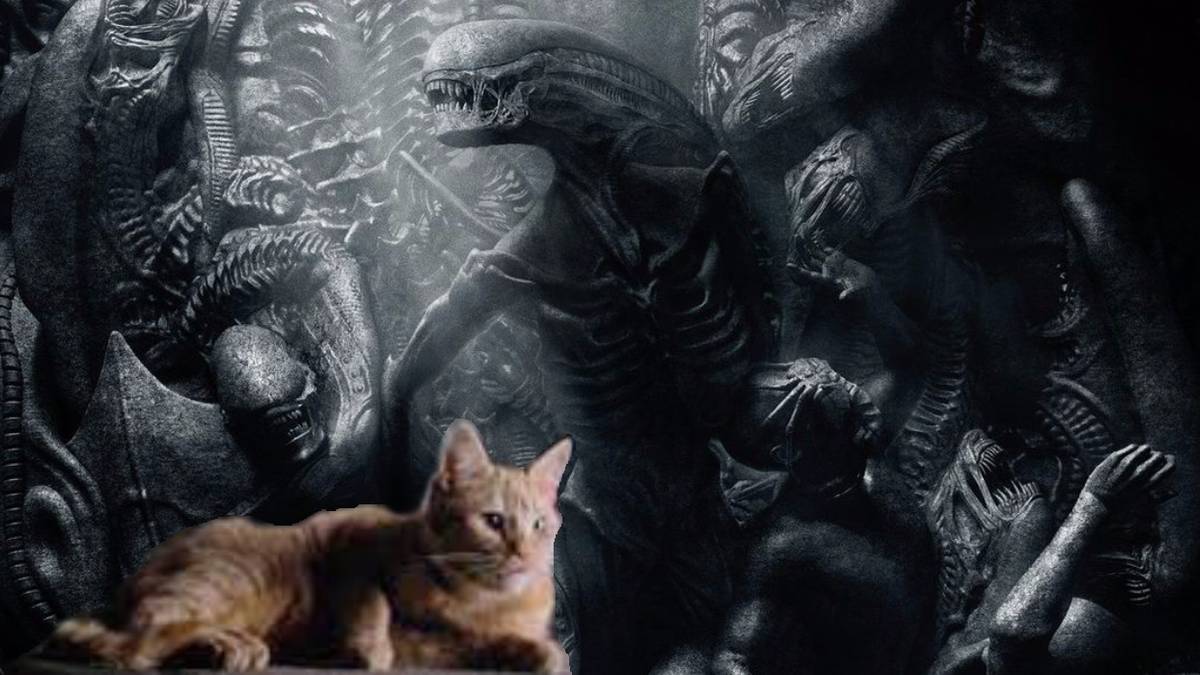 Marvel's Alien Offers More Evidence for Bizarre Cat Theory