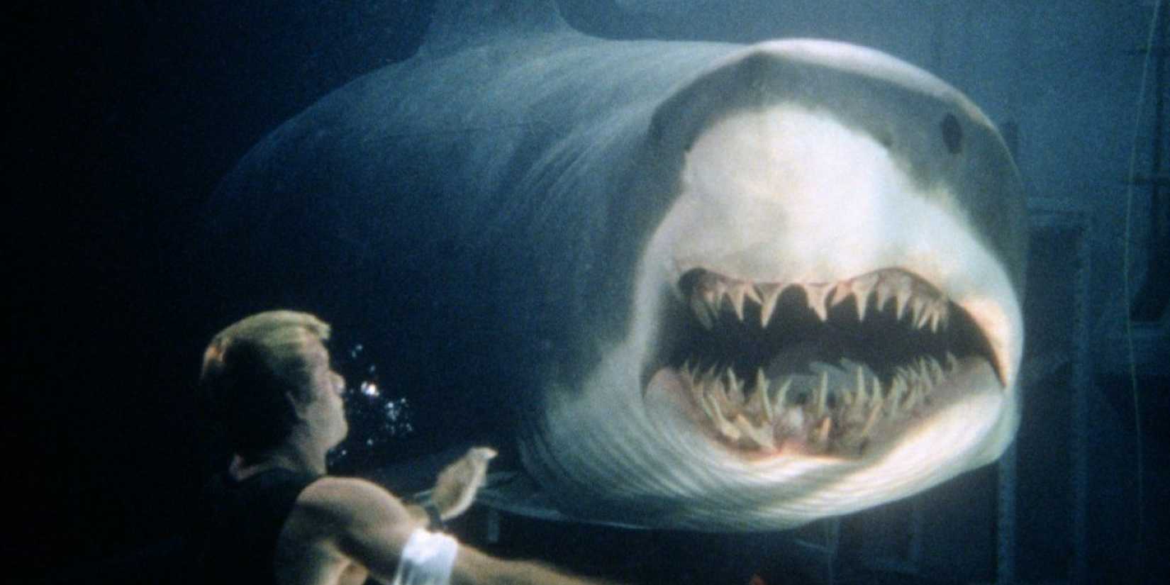 Deep Blue Sea: Where The Cast Is Now