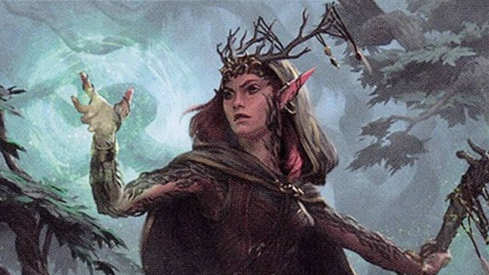 D&D: Every Origin Feat In The 2024 Player's Handbook, Ranked