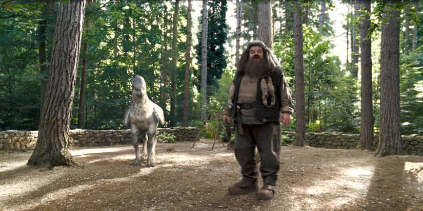 Harry Potter: 9 Unpopular Opinions About Hagrid, According To Reddit