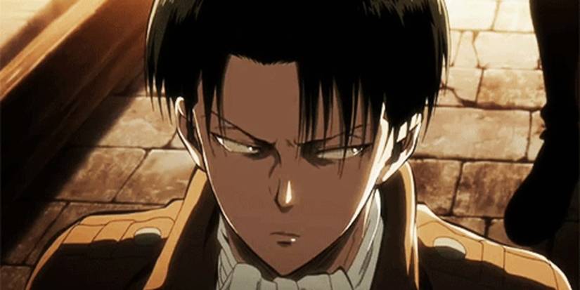 survey corps levi