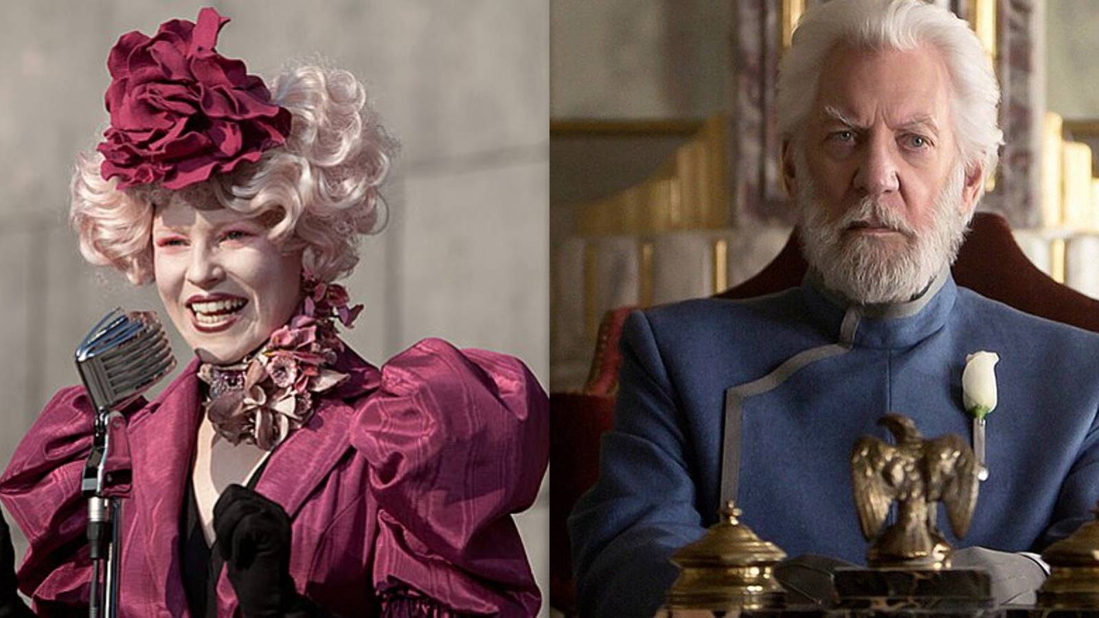 The 10 Richest Hunger Games Characters, Ranked