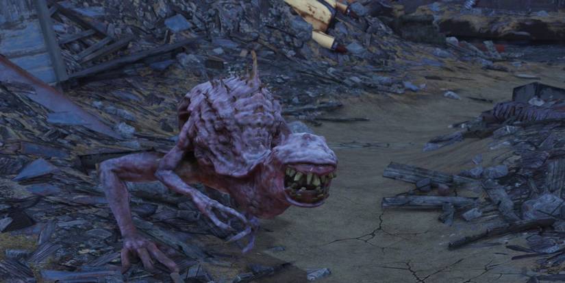 How to Find (& Kill) Snallygasters in Fallout 76