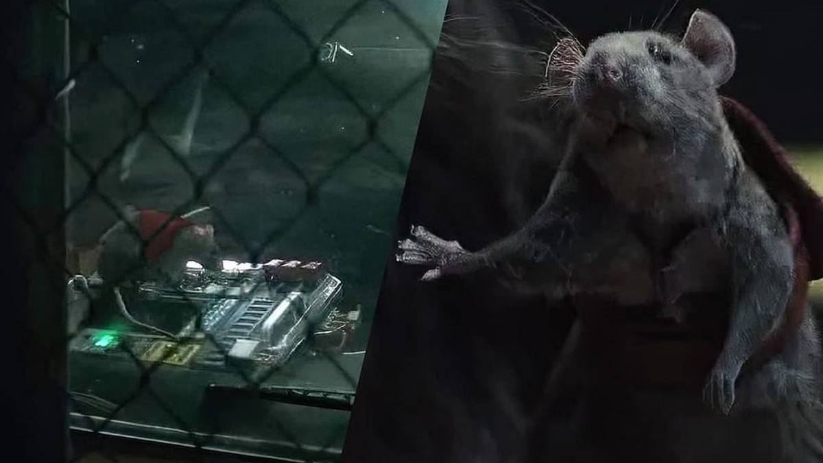 Endgame Art Imagines Suicide Squad's Sebastian as Rat Who Saves Ant-Man