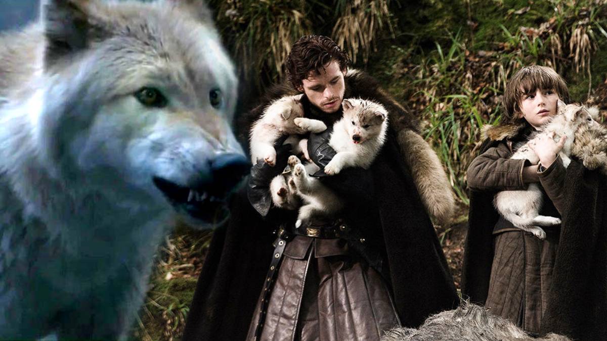 Game Of Thrones Ending: The Fates Of All Stark Direwolves Explained