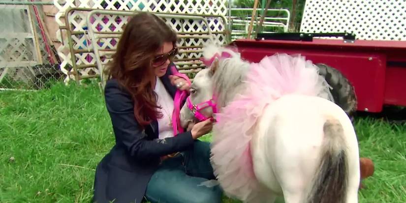 Vanderpump Rules: Lisa Vanderpump To Host 6th Annual World Dog Day