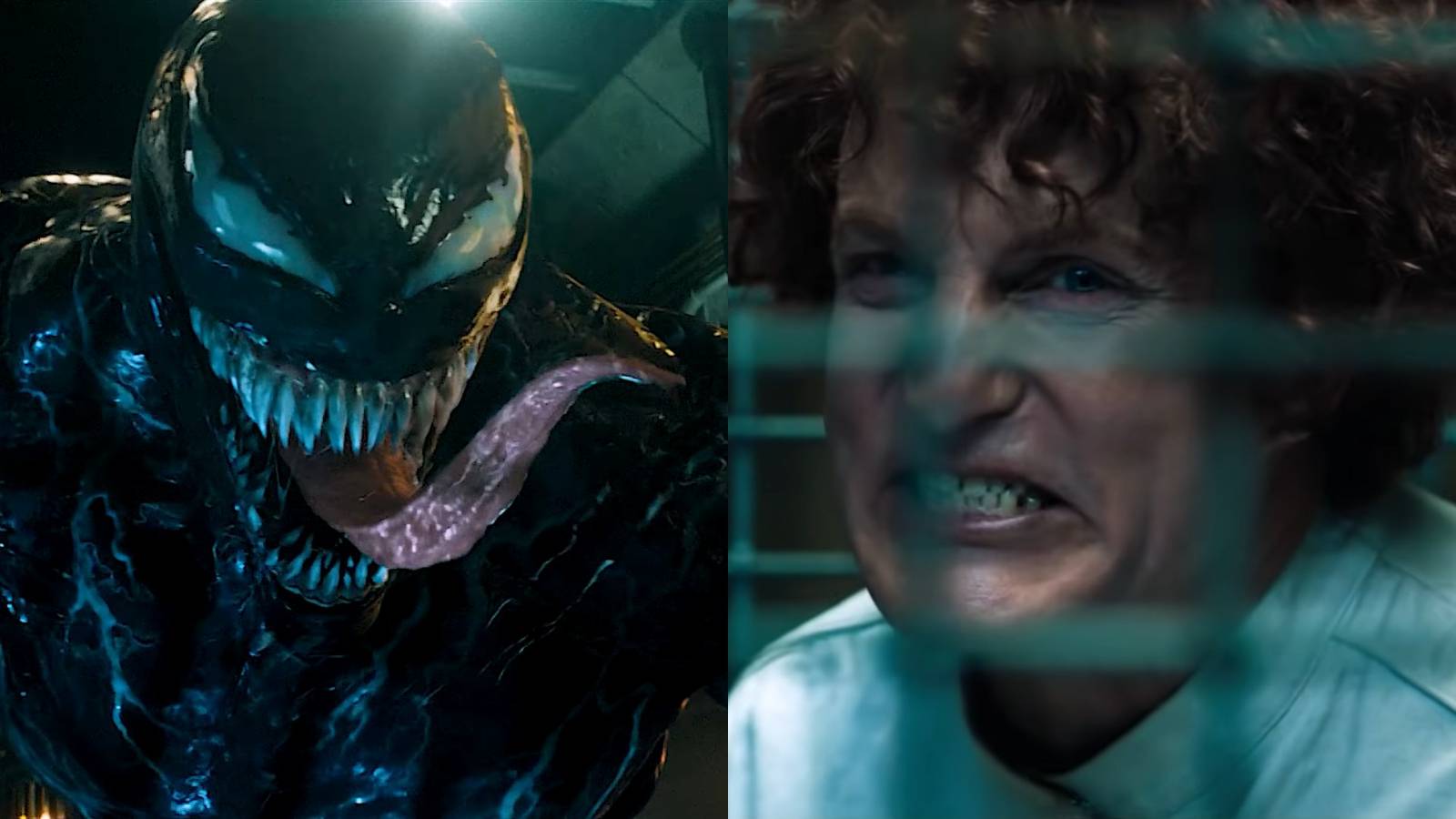 10 Best Quotes From Venom (2018)