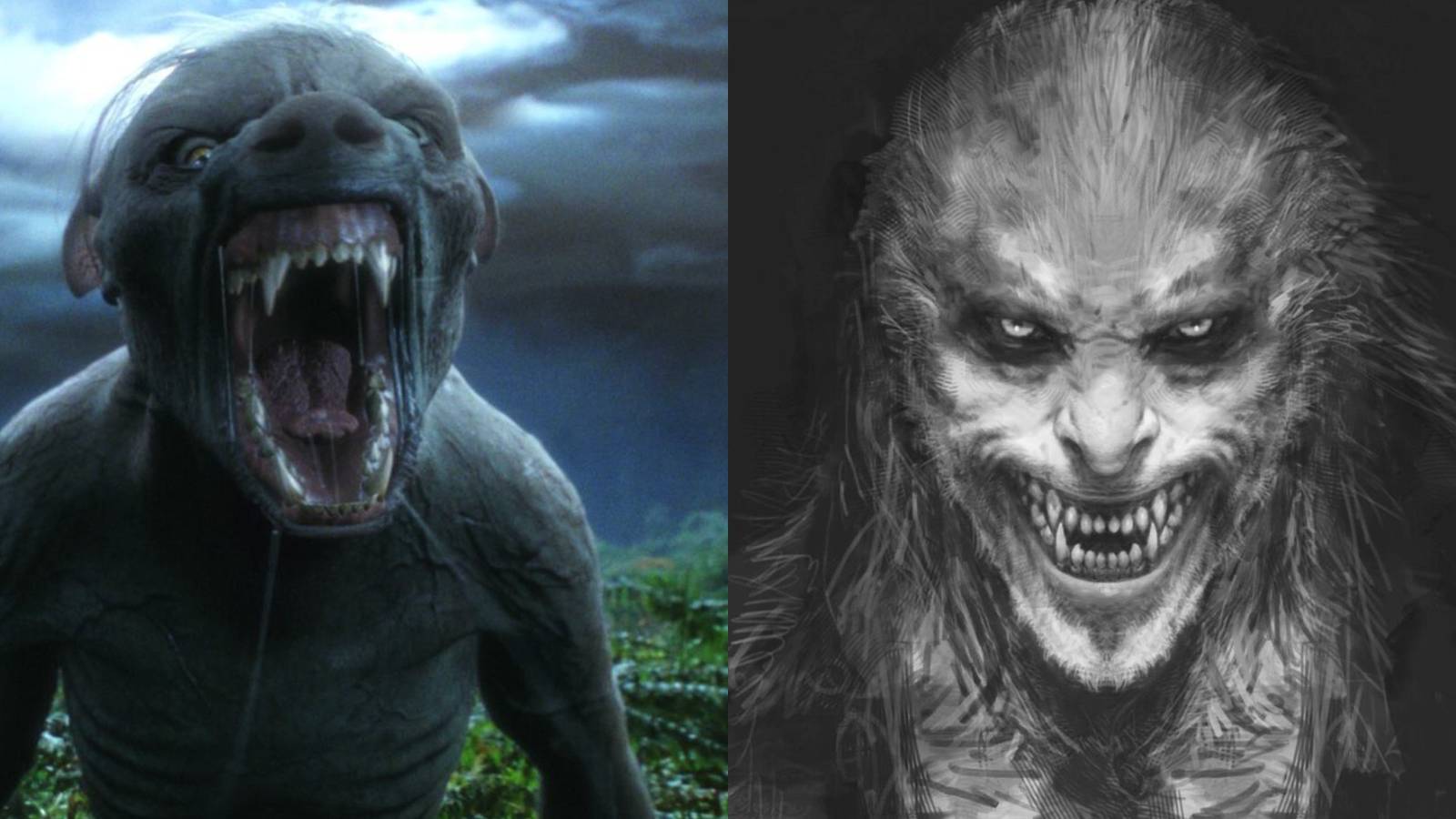 Harry Potter: 10 Things You Didn’t Know About Werewolves