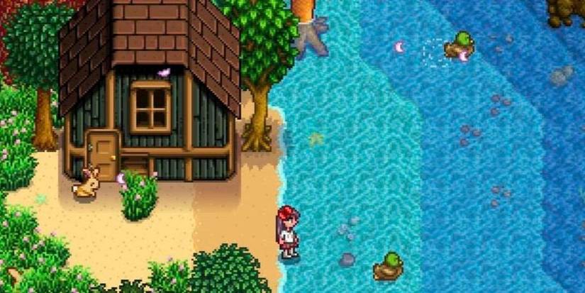 What Should You Do With Duck Feathers In Stardew Valley?