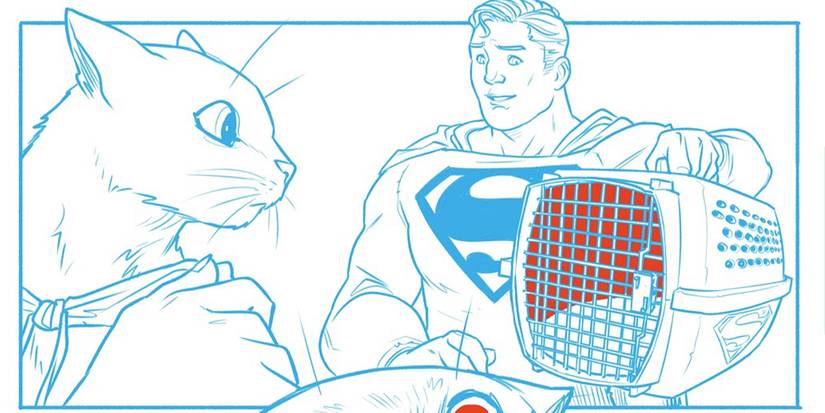 Superman: The True Danger of Streaky The Supercat Revealed By DC