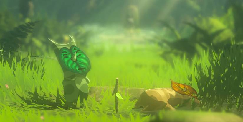 Now Is The Perfect Time To 100% Breath Of The Wild