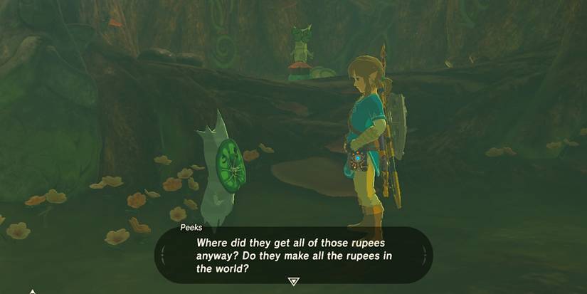 Zelda: Everything You Can Still Do In BOTW After Getting 100%