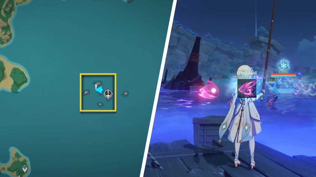 Genshin Impact: How To Catch The Raimei Angelfish (Location Guide)