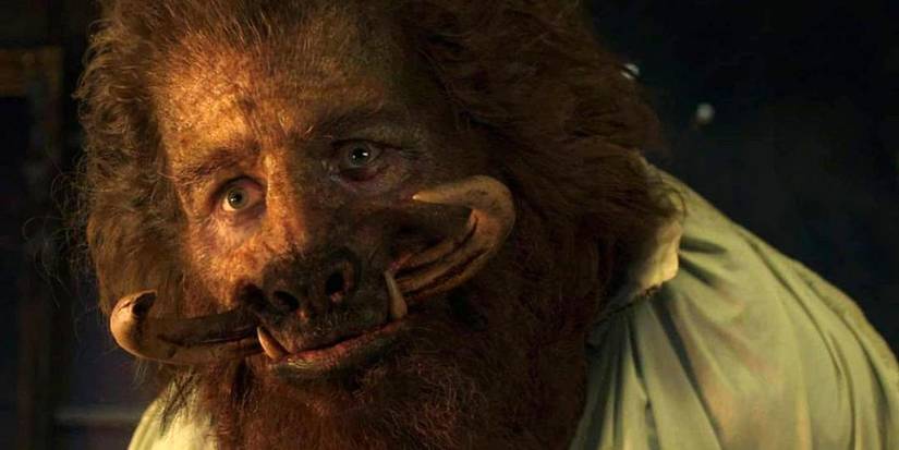 The Witcher: Why Geralt Didn't Kill Nivellen (But Did Vereena)