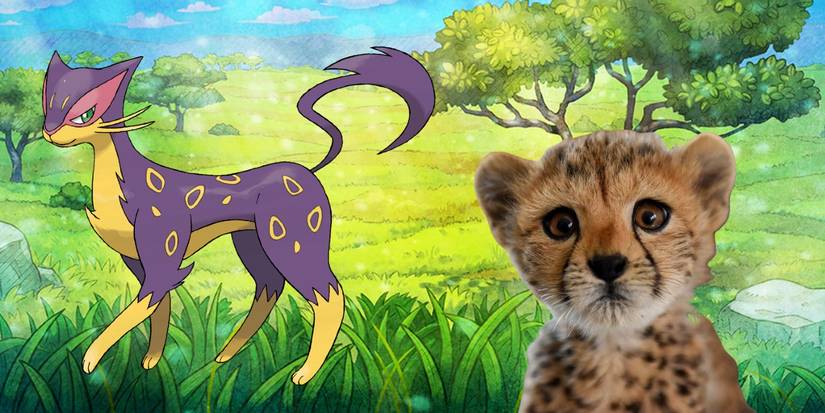 Pokémon Gen 9: What Real-World Animals Could Inspire Starters
