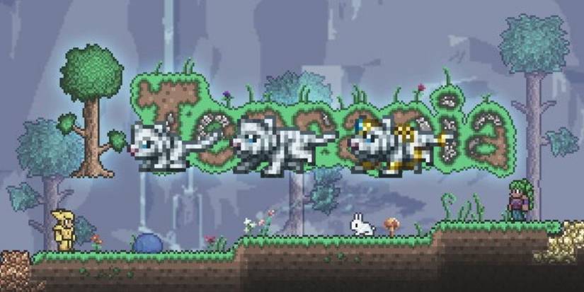 Terraria: 10 Best Summoner Minions