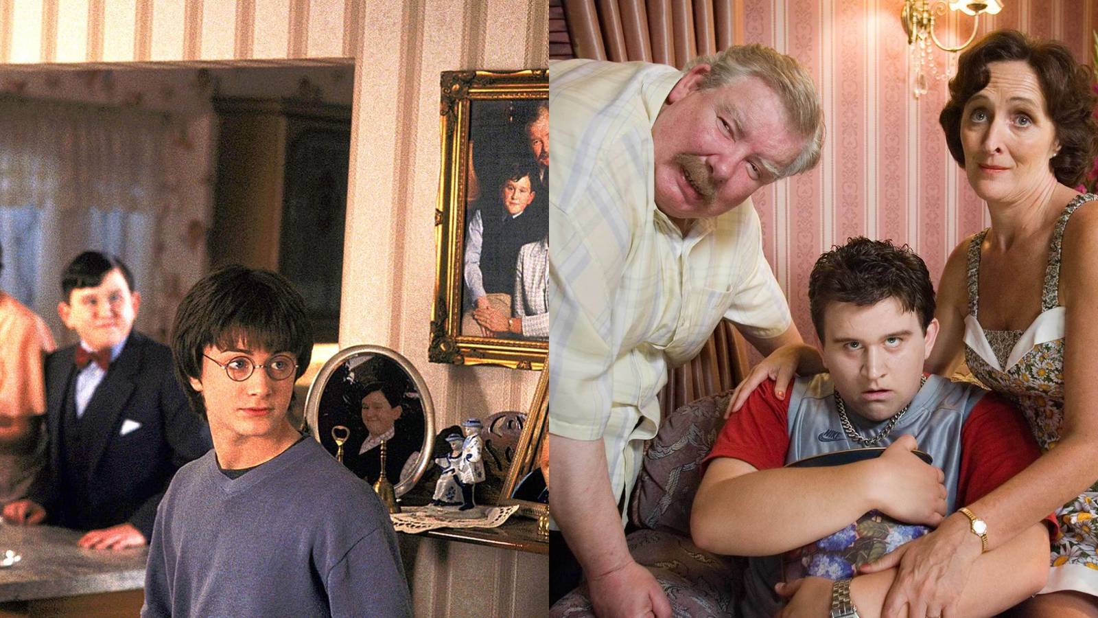 Harry Potter: The Dursleys' 10 Best Quotes