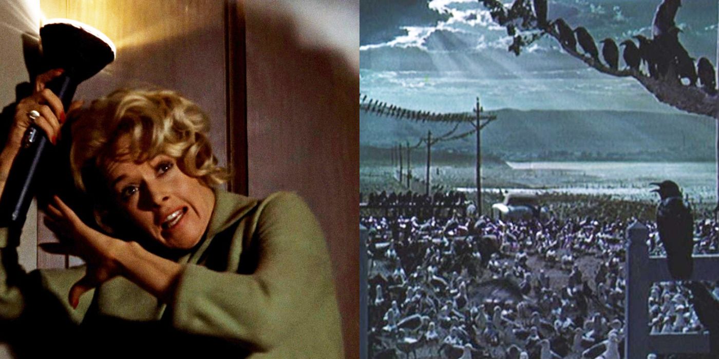 The Birds: 7 Things That Still Hold Up Today | ScreenRant