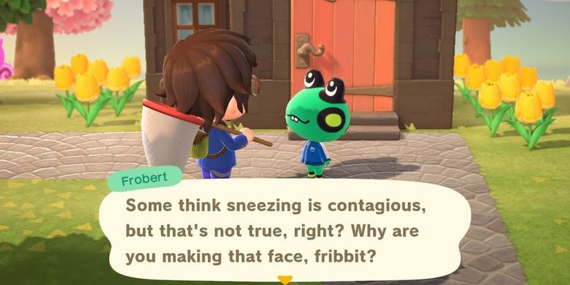 10 Best Jock Villagers in Animal Crossing: New Horizons