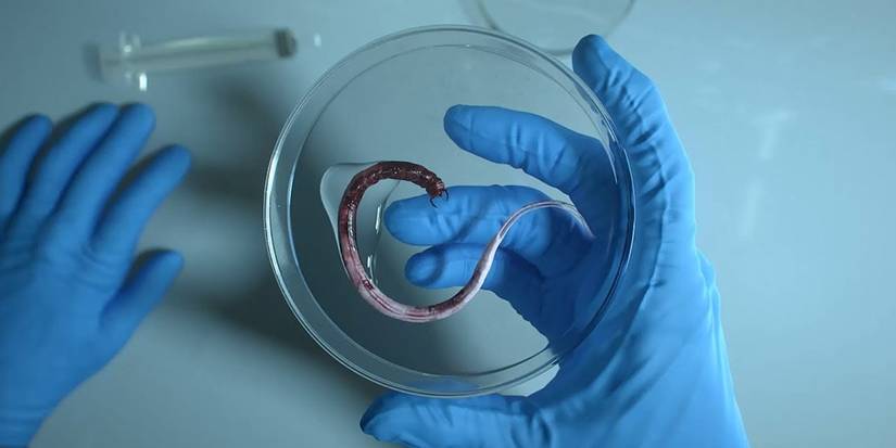 Back 4 Blood: What Are Devil Worms & How Do They Work