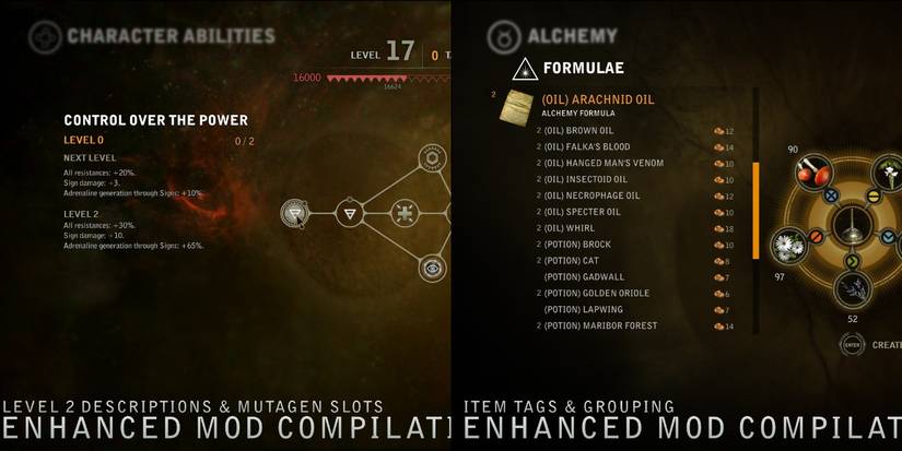 The Witcher 2: 10 Best Quality-Of-Life Mods