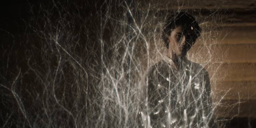 Dune: The 10 Best Paul Atreides Quotes