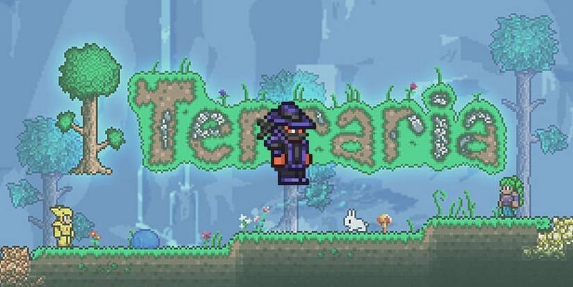 Terraria: 10 Best Summoner Armor Sets