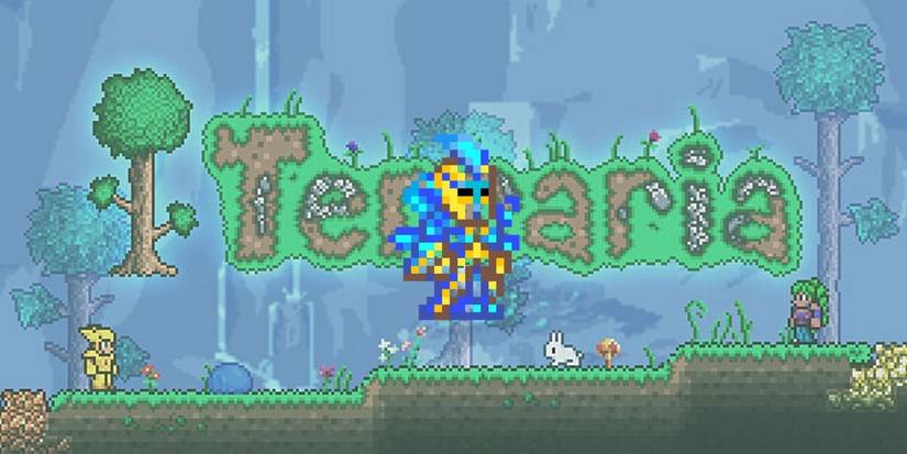 Terraria: 10 Best Summoner Armor Sets