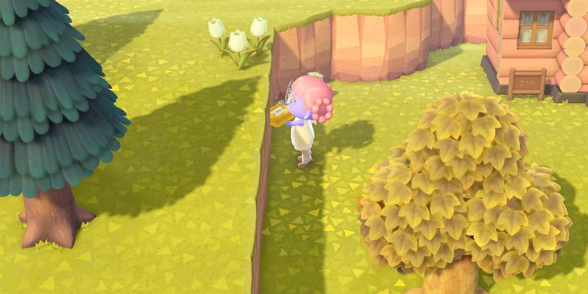 Animal Crossing: How to Get Permanent Ladders (Ladder Setup Kit)