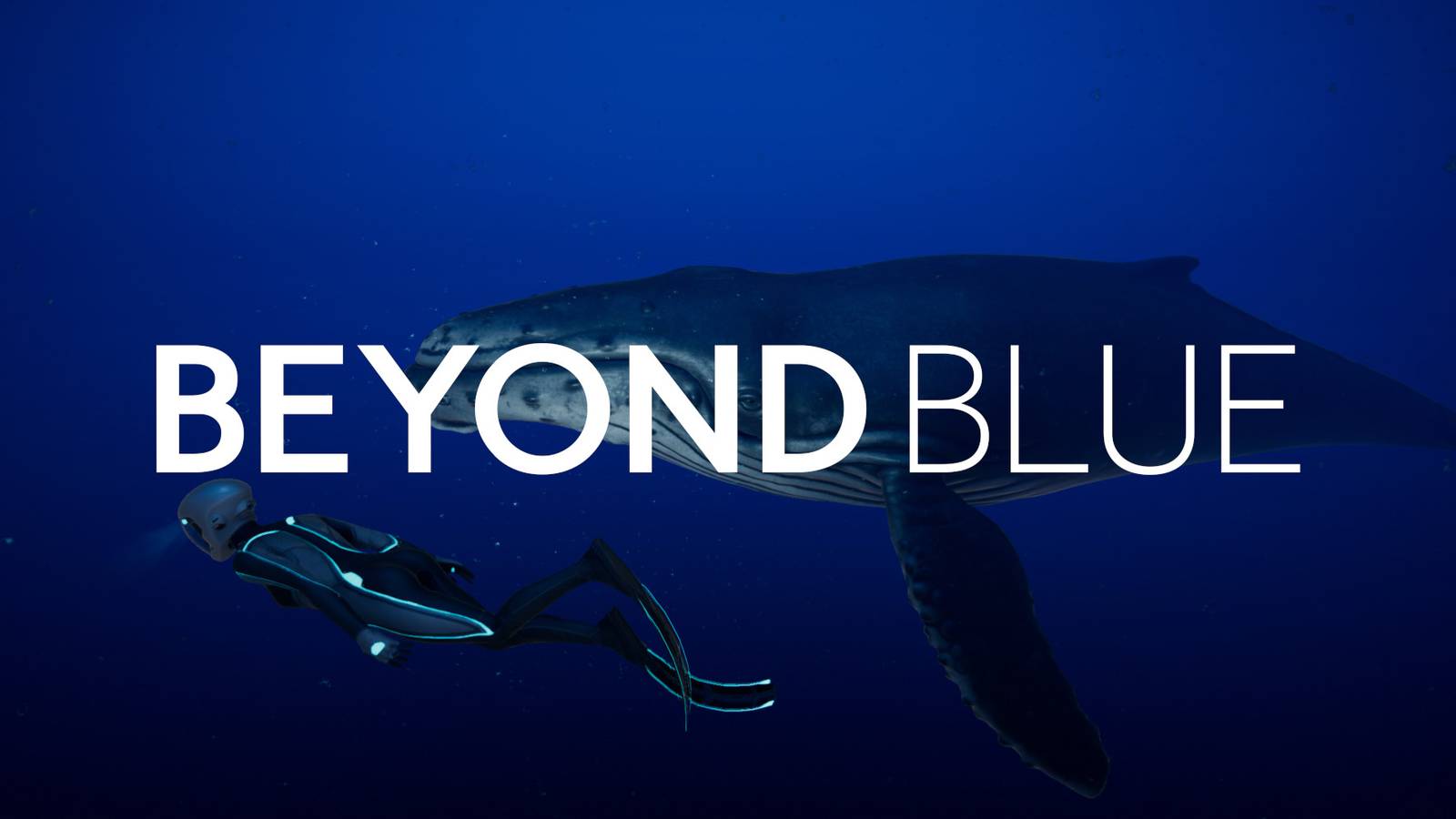 Beyond Blue Switch Review