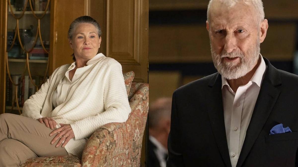 The 10 Best Succession Guest Stars