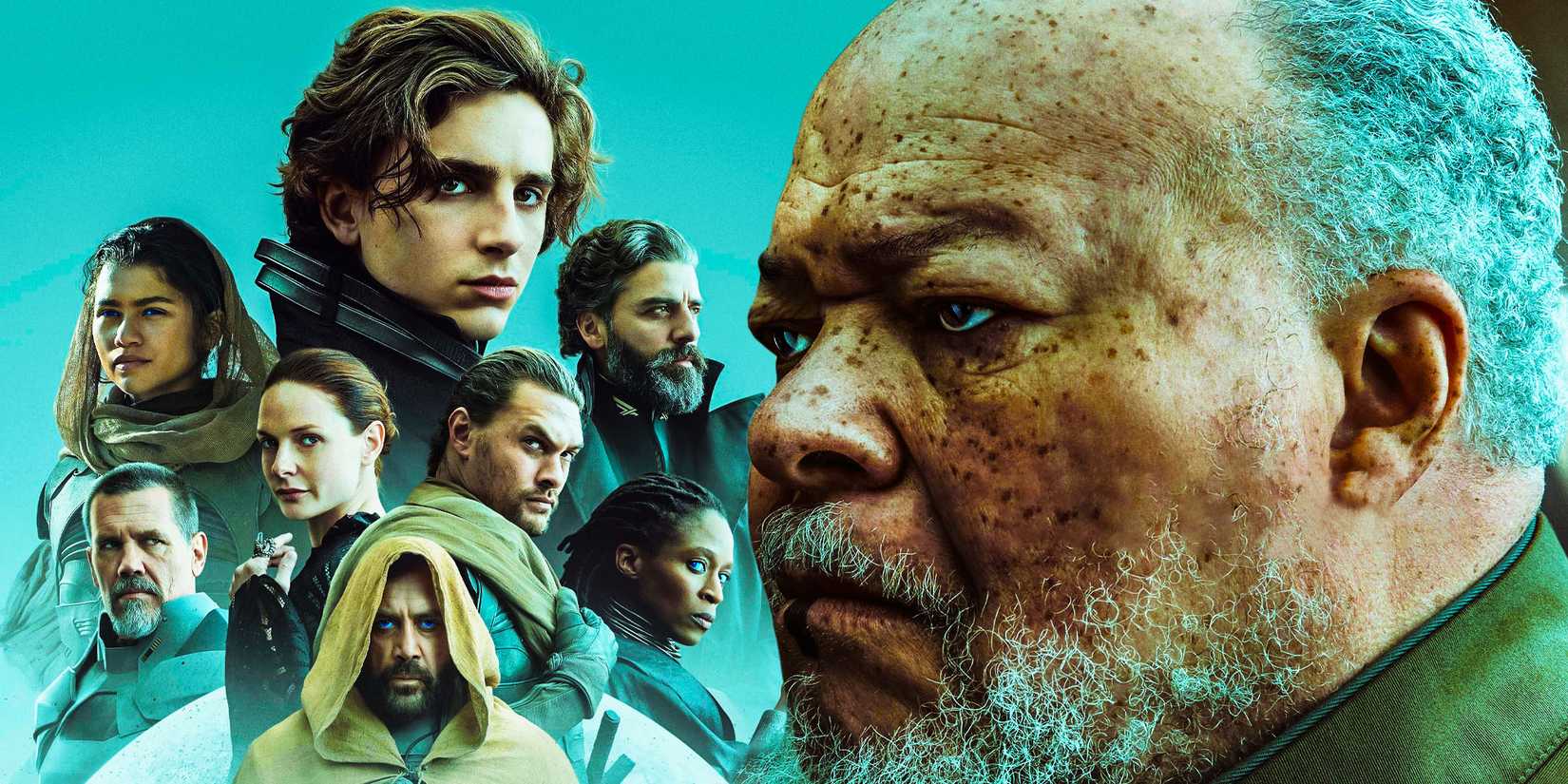 Denis Villeneuve's Most Painful Dune 2 Cut Gets Candid Response From ...