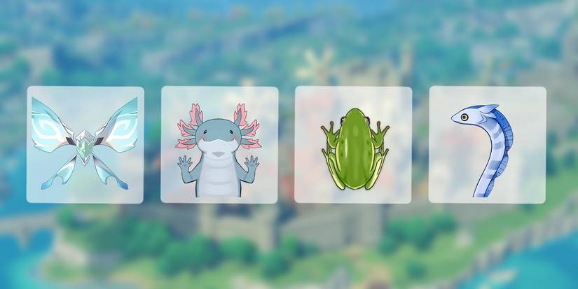 Genshin Impact: What Creatures Can Be Caught With The Omni-Ubiquity Net