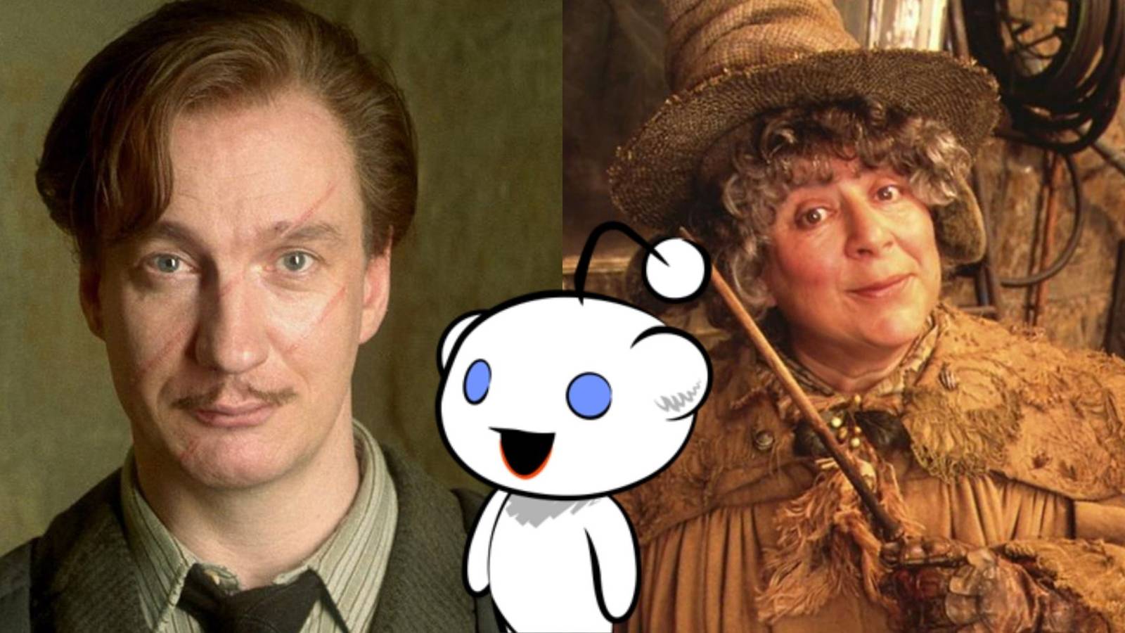 10 Best Hogwarts Professors, Ranked According To Reddit