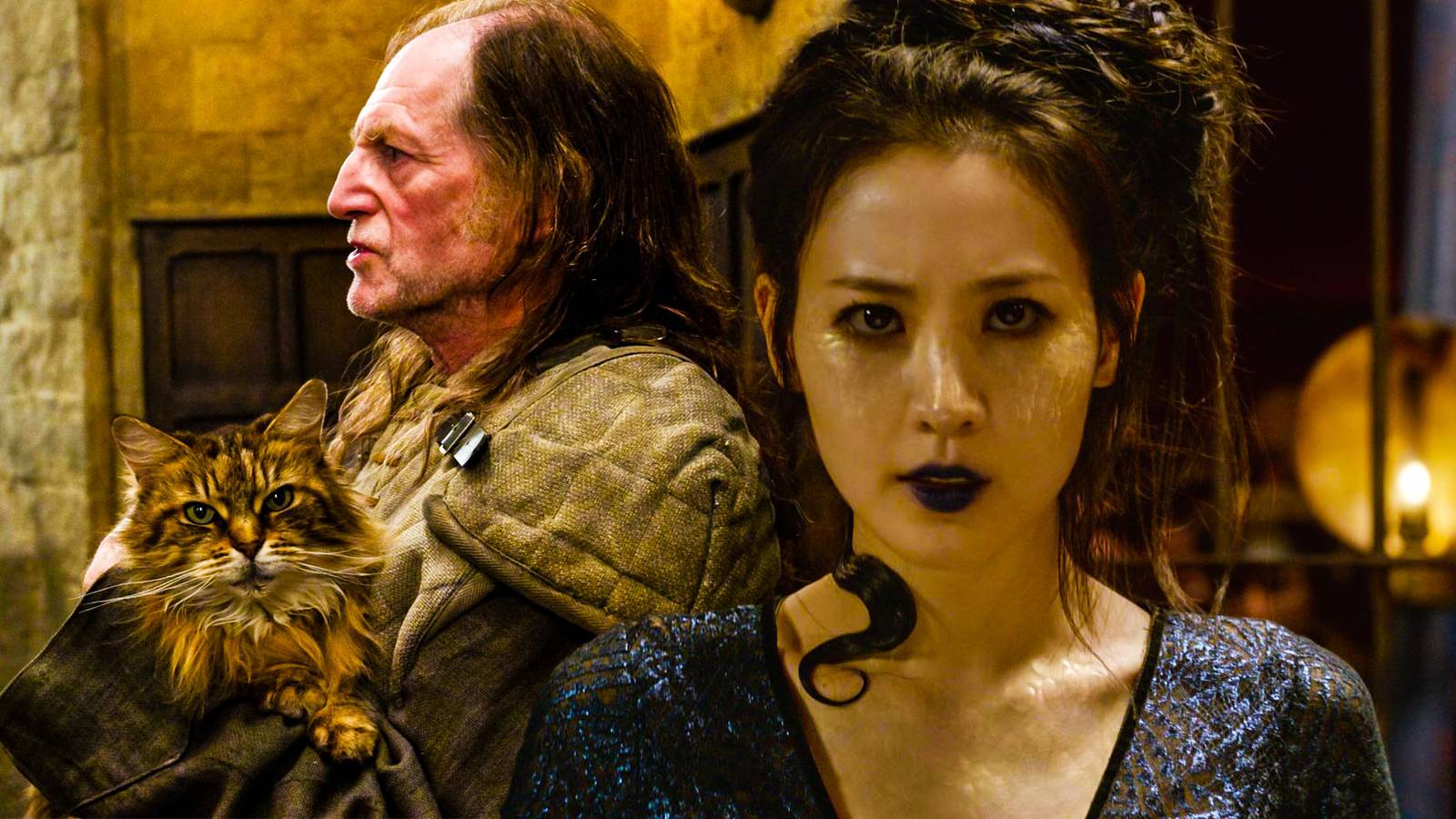 Harry Potter: Mrs. Norris Is A Maledictus Like Nagini - Theory Explained
