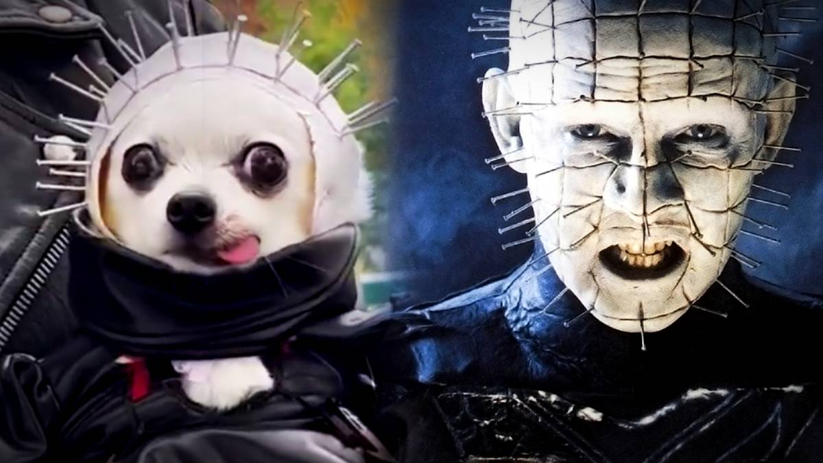 Hellraiser Dog Costume Turns Pinhead Into Horror’s Cutest Villain