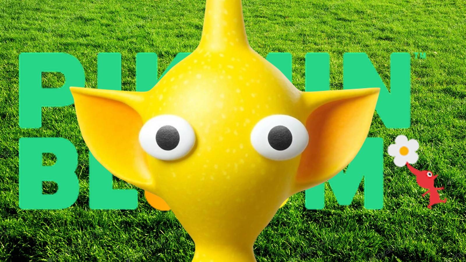 Pikmin Bloom: How To Get More Coins (The Fast Way)