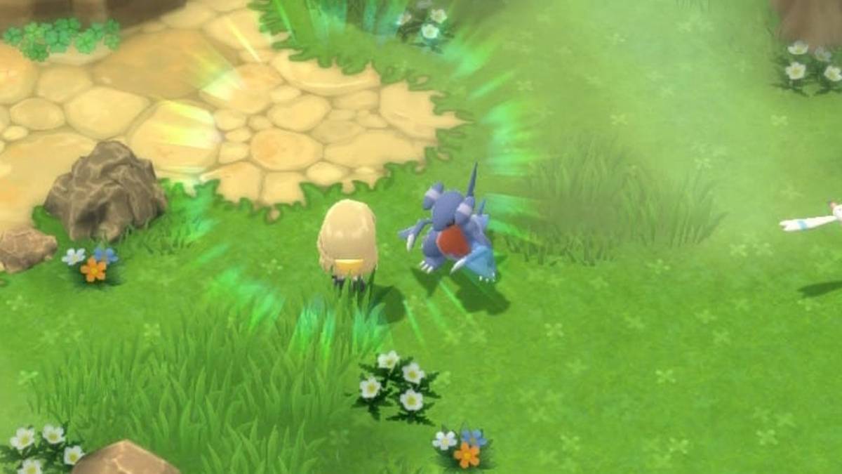 Pokémon BDSP: Where To Find The Secret Entrance to Wayward Cave