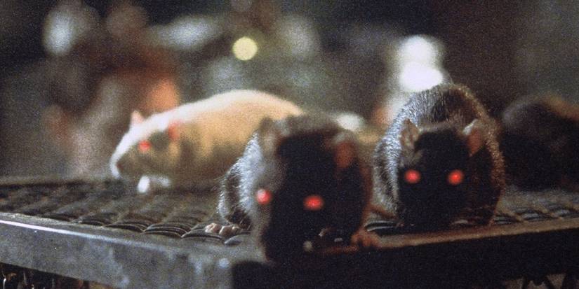 Rats: Night Of Terror Turned Mad Max Into A (Bad) Monster Movie